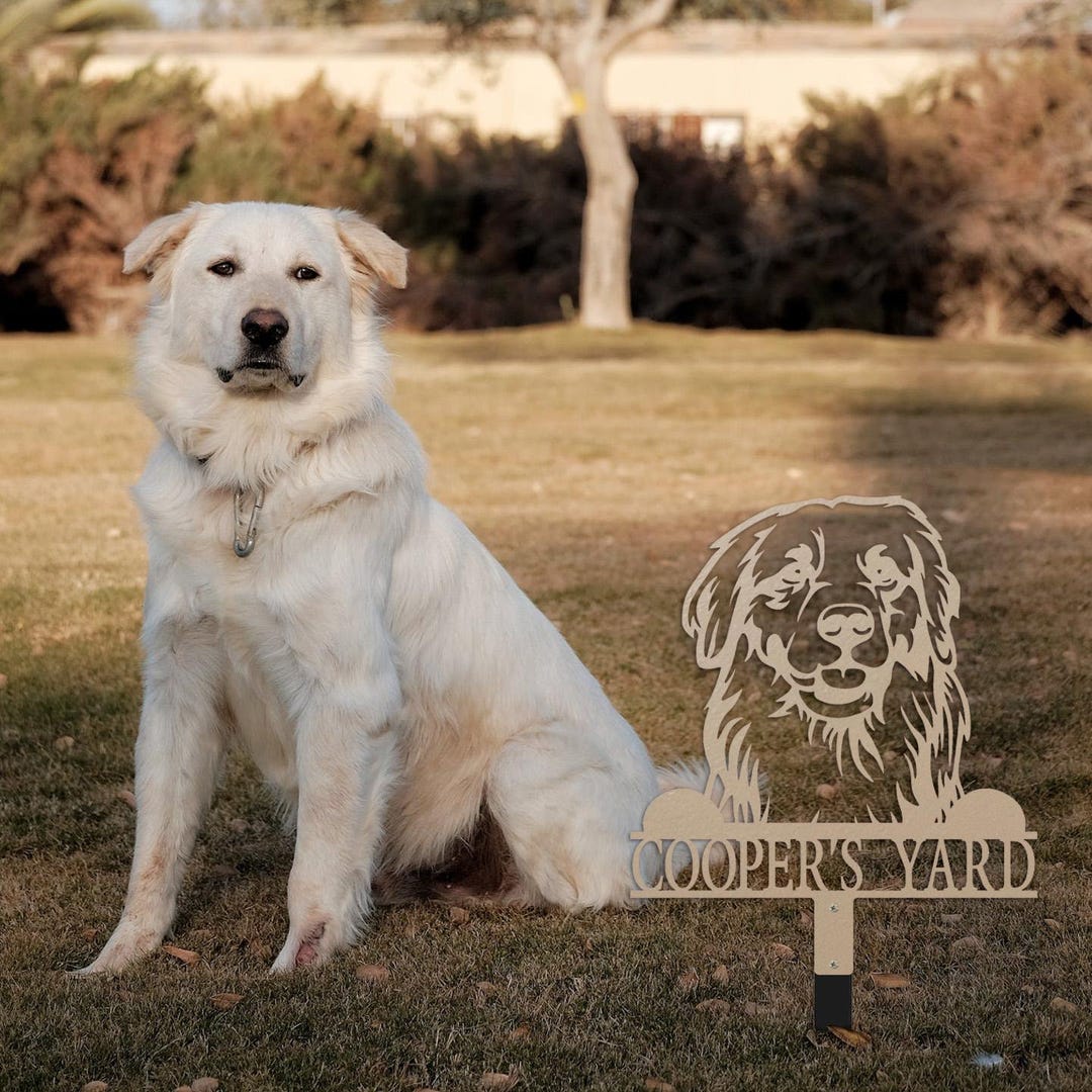 Personalized Steel Dog Lawn Sign - 100 Breed Choices: Custom Metal ...