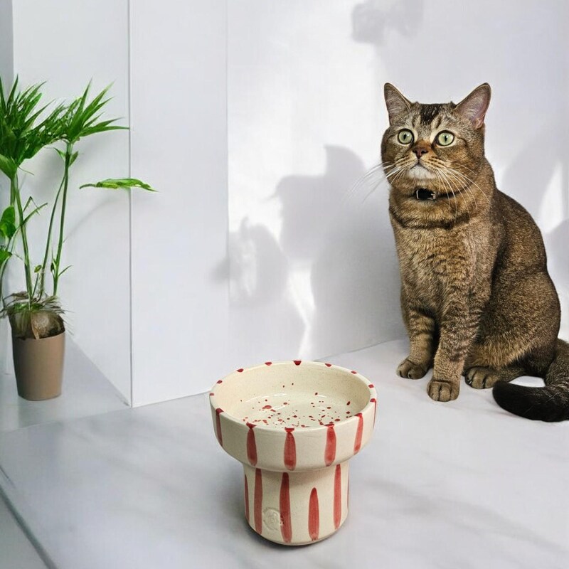 Ceramic Cat Dish - Etsy