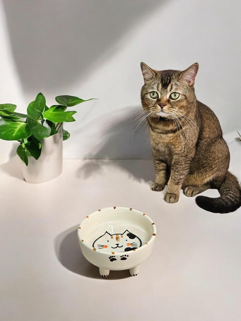 Handmade Elevated Ceramic Pet Bowl, Custom Cat & Dog Dish, Personalized ...