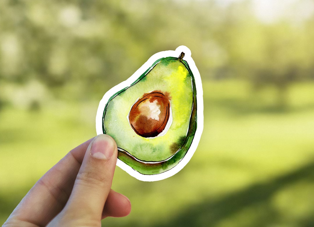 Avocado Sticker Watercolor Avocado Food Sticker Die Cut Sticker ...