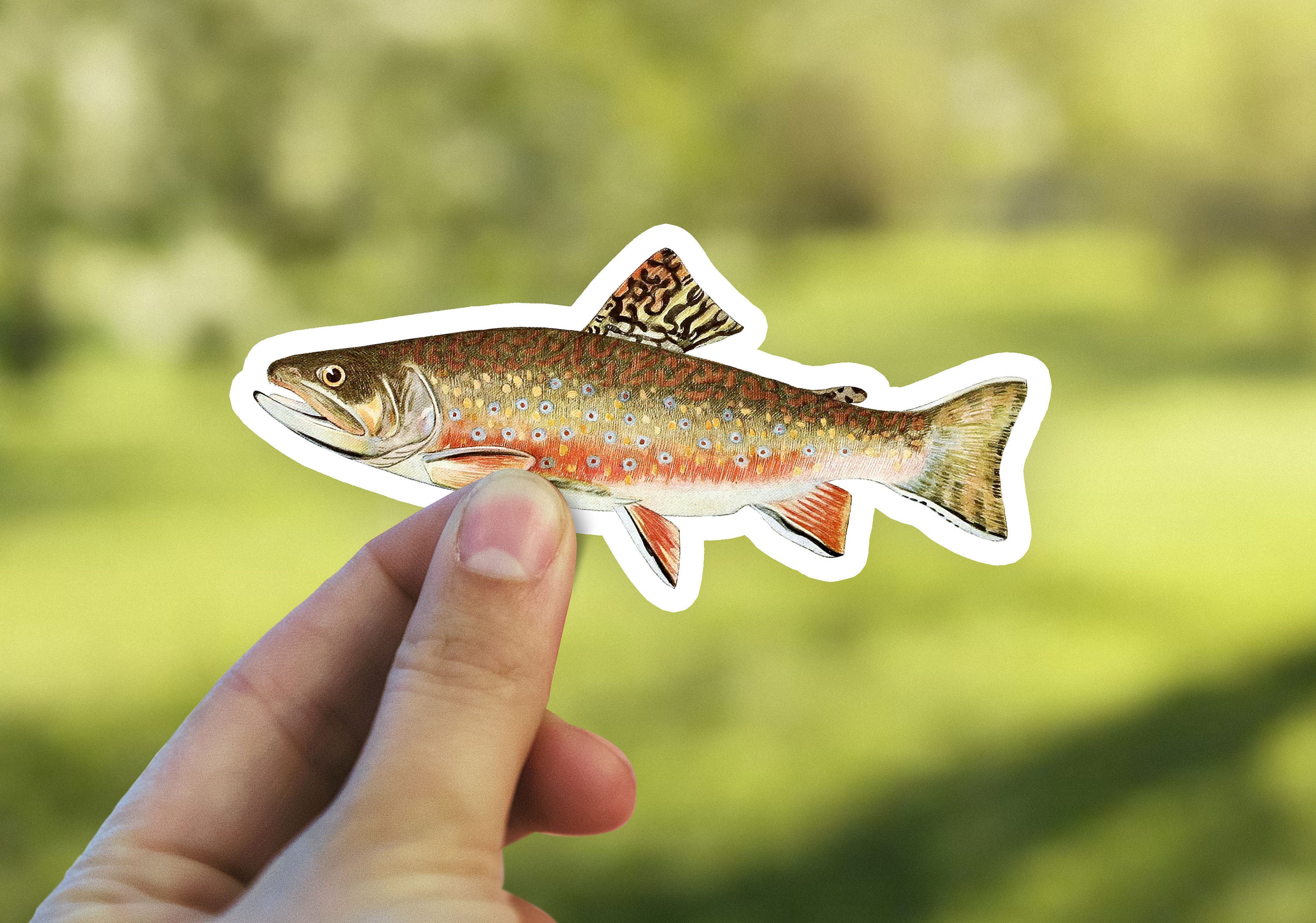 Brook Trout Sticker Fishing Vinyl Die Cut Decal Sticker | Etsy