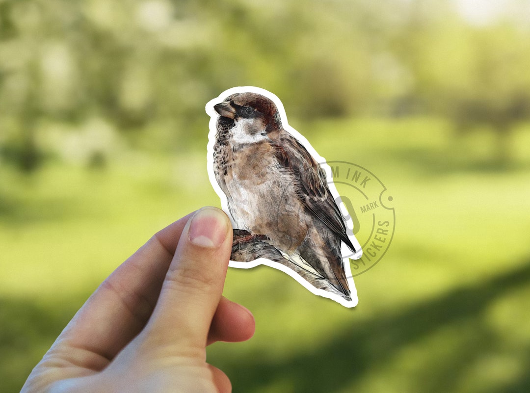 Sparrow Sticker, Bird Watcher Nature Sticker - Etsy