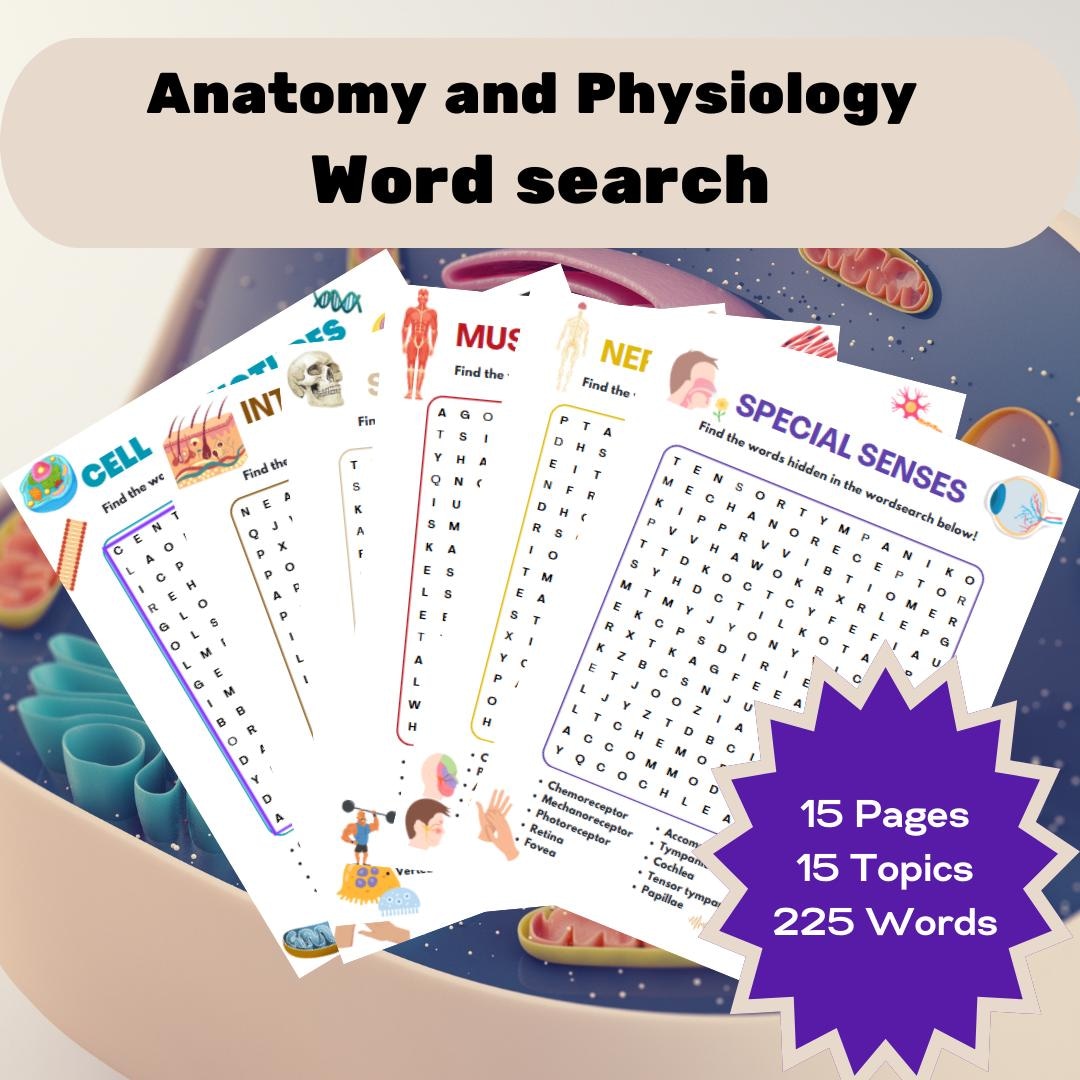 Anatomy & Physiology Word Search Puzzle Homeschool/ Classroom Activity ...