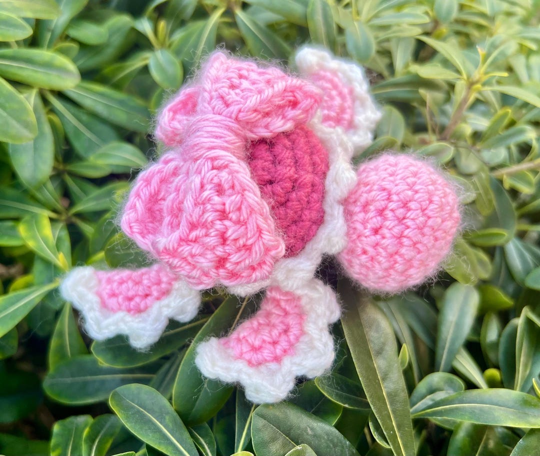 Coquette Girly Turtle Crochet Handmade Amigurumi Plushie - Etsy