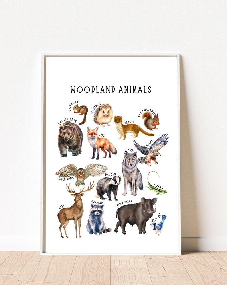 6 Educational Animal Posters, Montessori Animal Prints, Animal ...