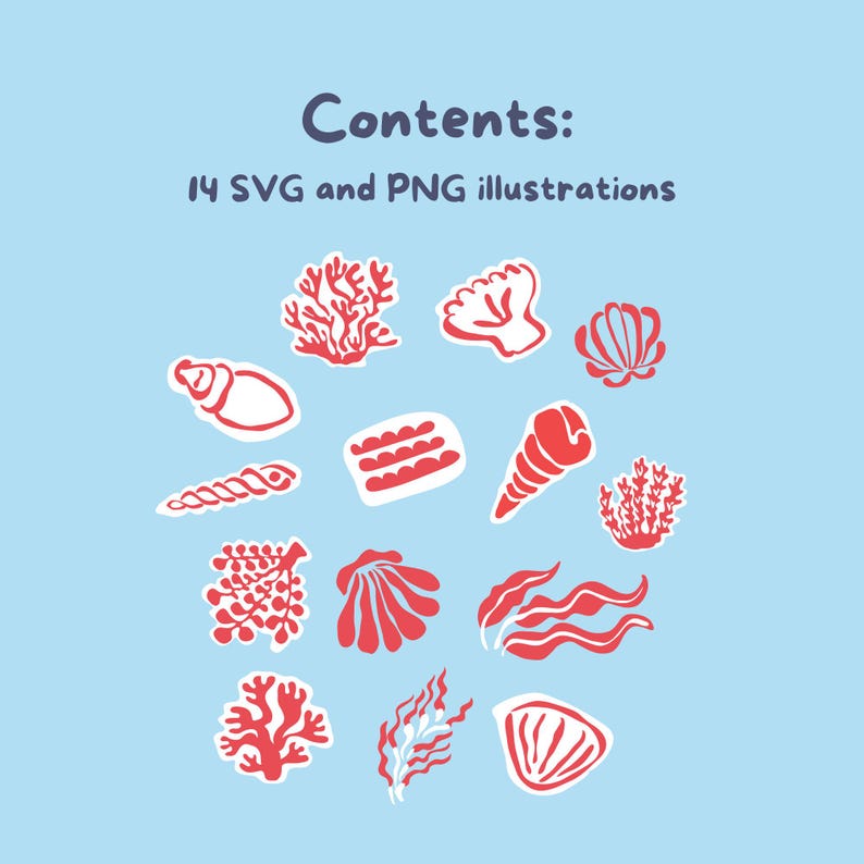 14 Beach Clipart Set Hand Drawn Coral and Shell SVG and PNG With ...