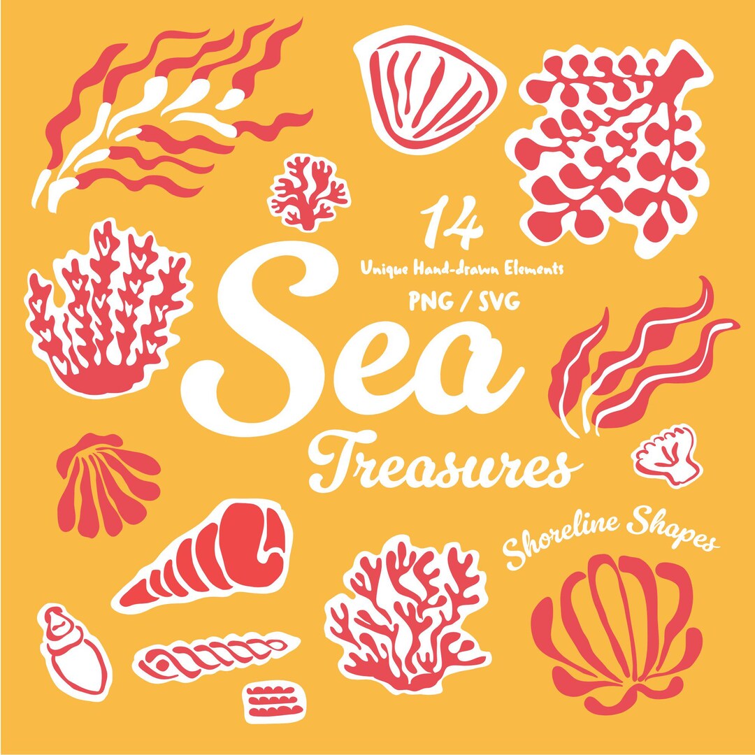 14 Beach Clipart Set Hand Drawn Coral and Shell SVG and PNG With ...