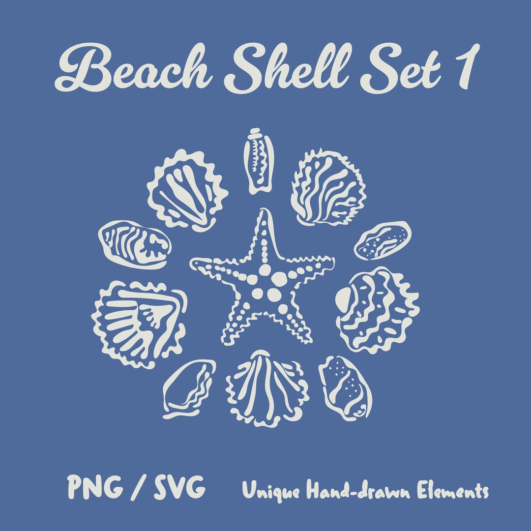 Beach Shell Clipart Set 11 Hand Drawn Shells and Starfish in SVG and ...