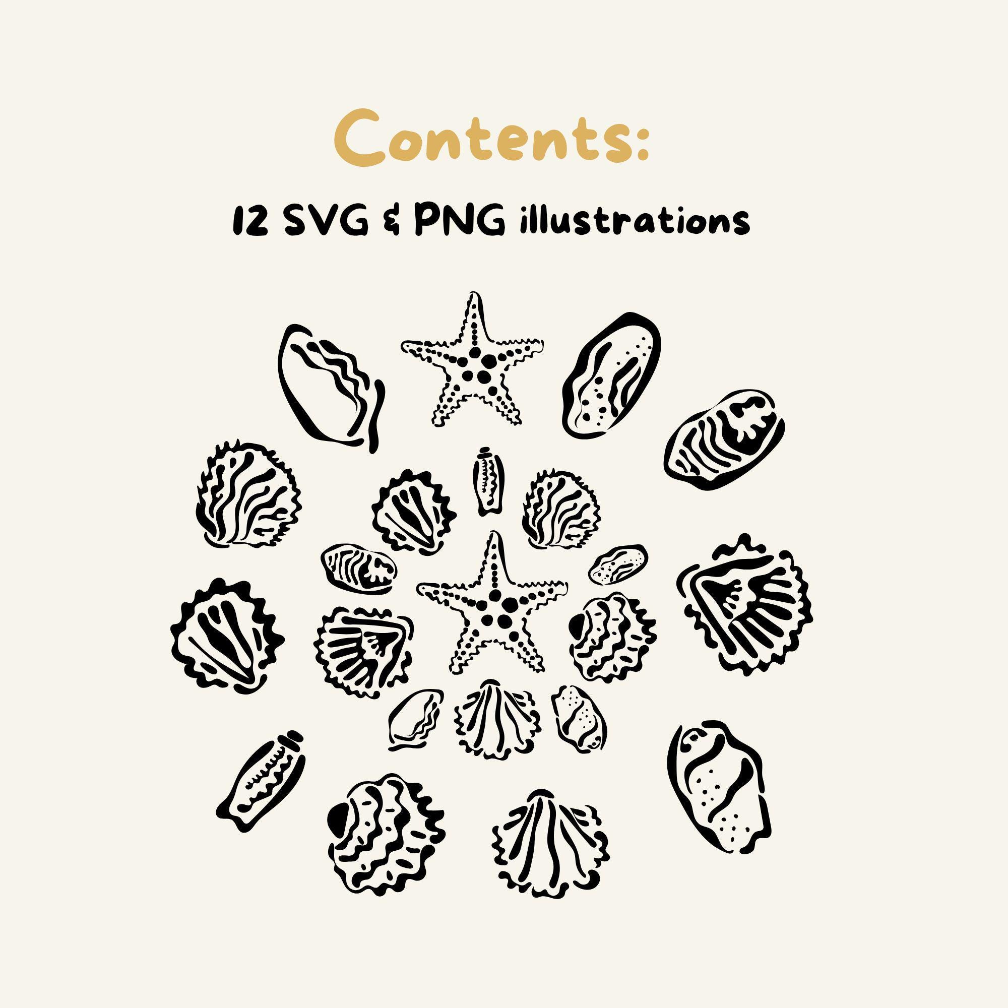 Beach Shell Clipart Set 11 Hand Drawn Shells and Starfish in SVG and ...