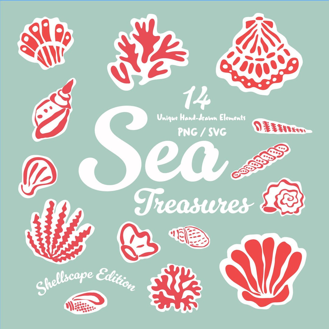 14 Whimsical Sea Shells Clipart Set Hand Drawn Coral and Ocean Elements ...