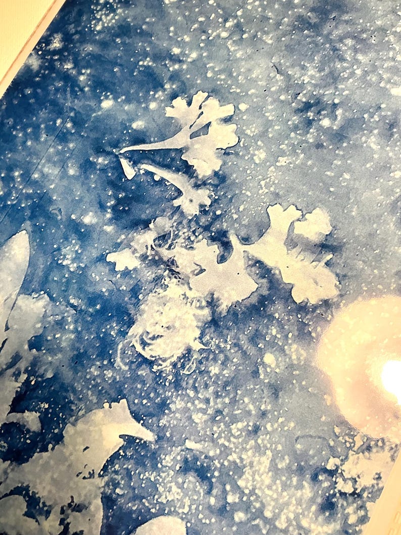 A4 Cynotype Print 1. Washed in Cornish Sea - Etsy