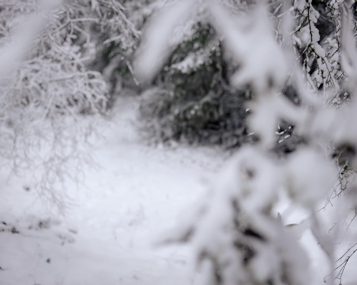 Snowy Magic Digital Backdrop - Etsy