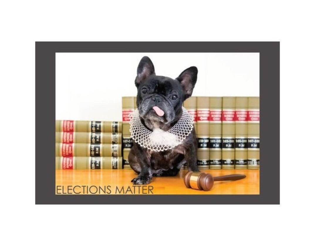 Elections Matter * RBG Inspired * Postcards to Voters * Patriotic Dog ...