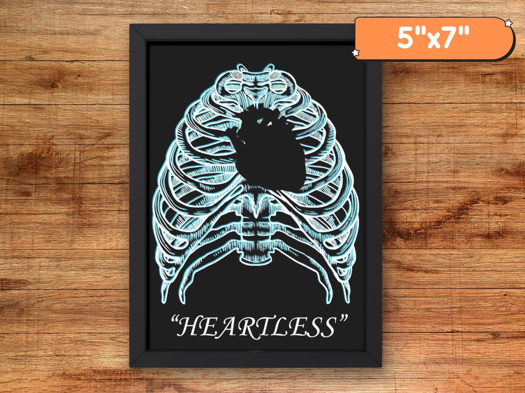X-ray Art Print, Anatomy Art, Hospital Wall Art, Office Decor, Gift for ...