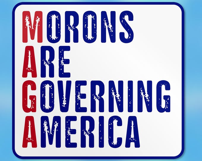 Morons Are Governing America Vinyl Sticker - Etsy