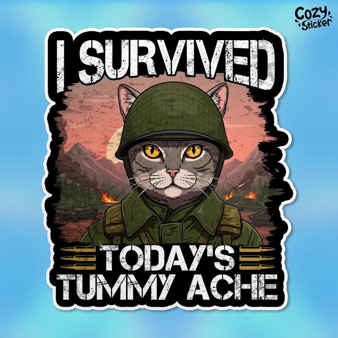 I Survived Today's Tummy Ache Sticker, Funny Cat Meme Gen Z Humor ...