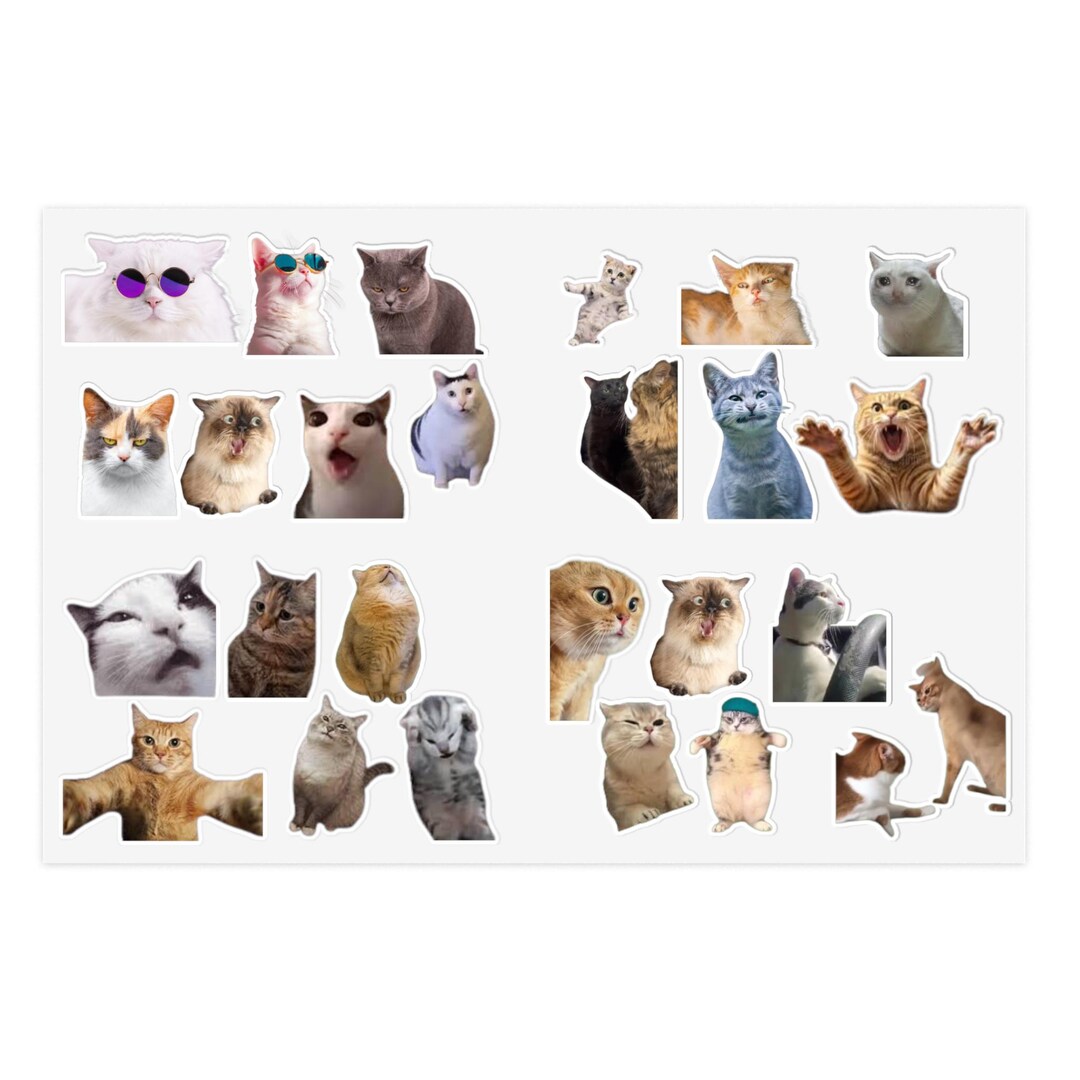 Funny Meme Cat Sticker Sheet Cute Cat - Etsy