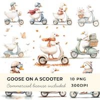 Zebra on Scooter Name Poster Set | Cute Watercolor Safari Animal Print ...