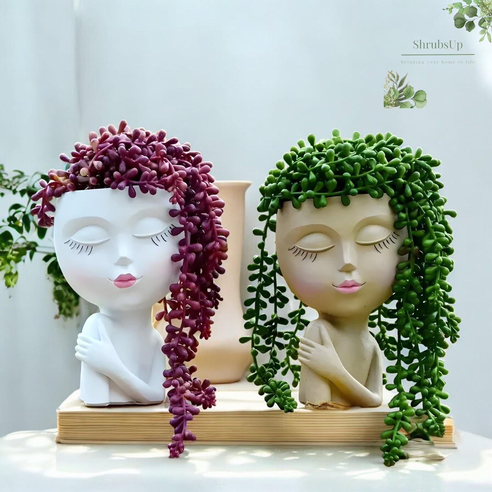 Elegant Face Shape Planter - Resin Flower Pot for Succulents and Plants ...