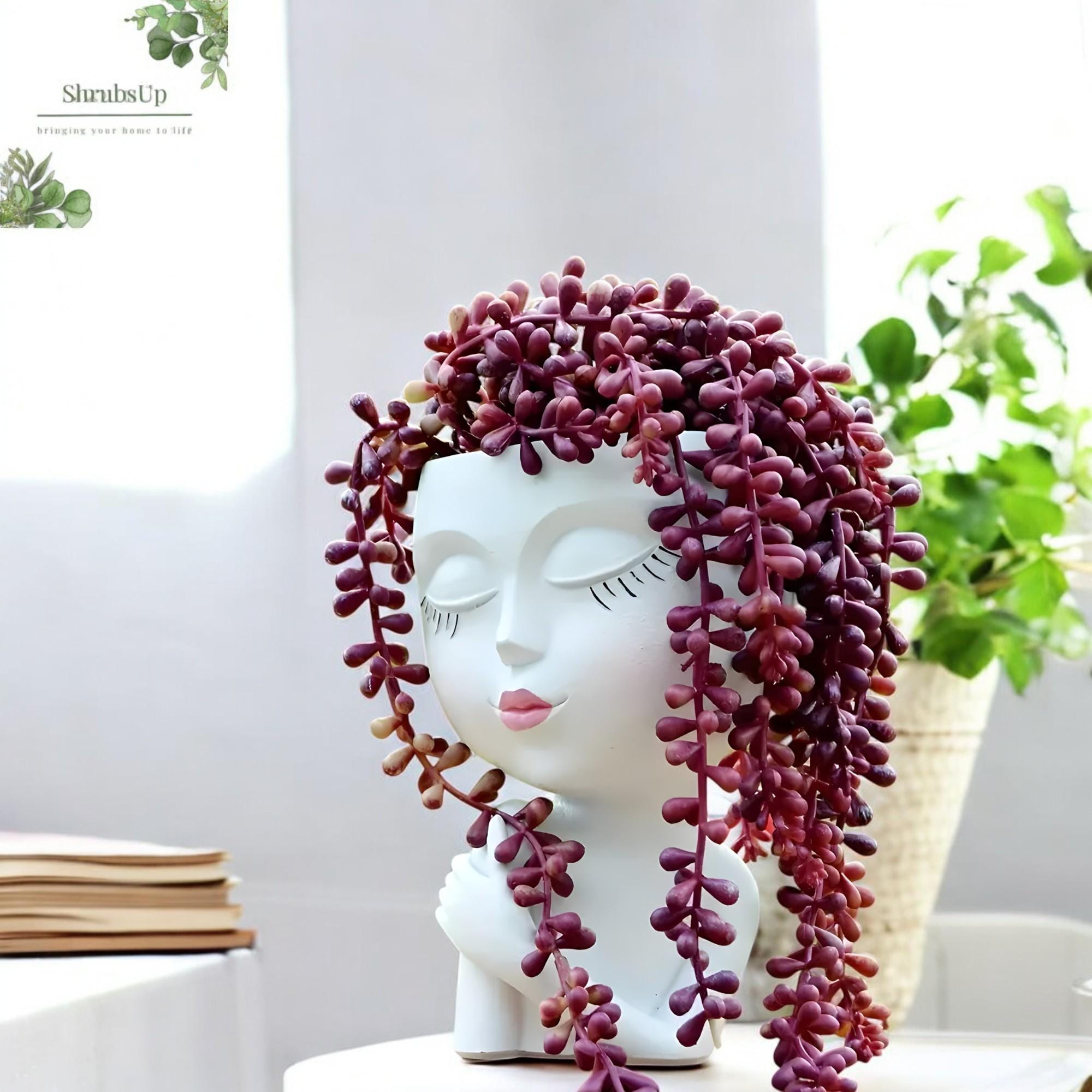 Elegant Face Shape Planter - Resin Flower Pot for Succulents and Plants ...