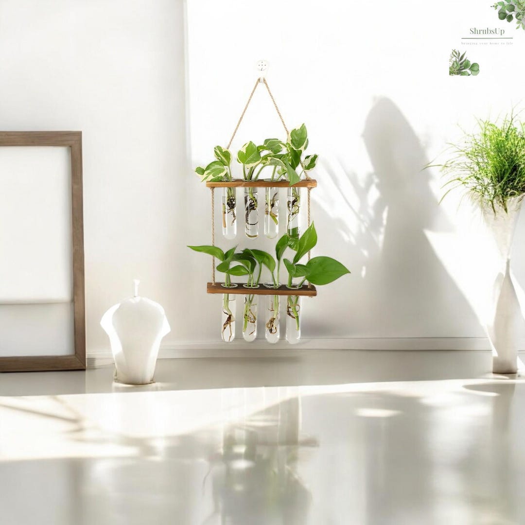 Wall Hanging Plant Propagation Station – Hydroponic Terrarium Vase for ...