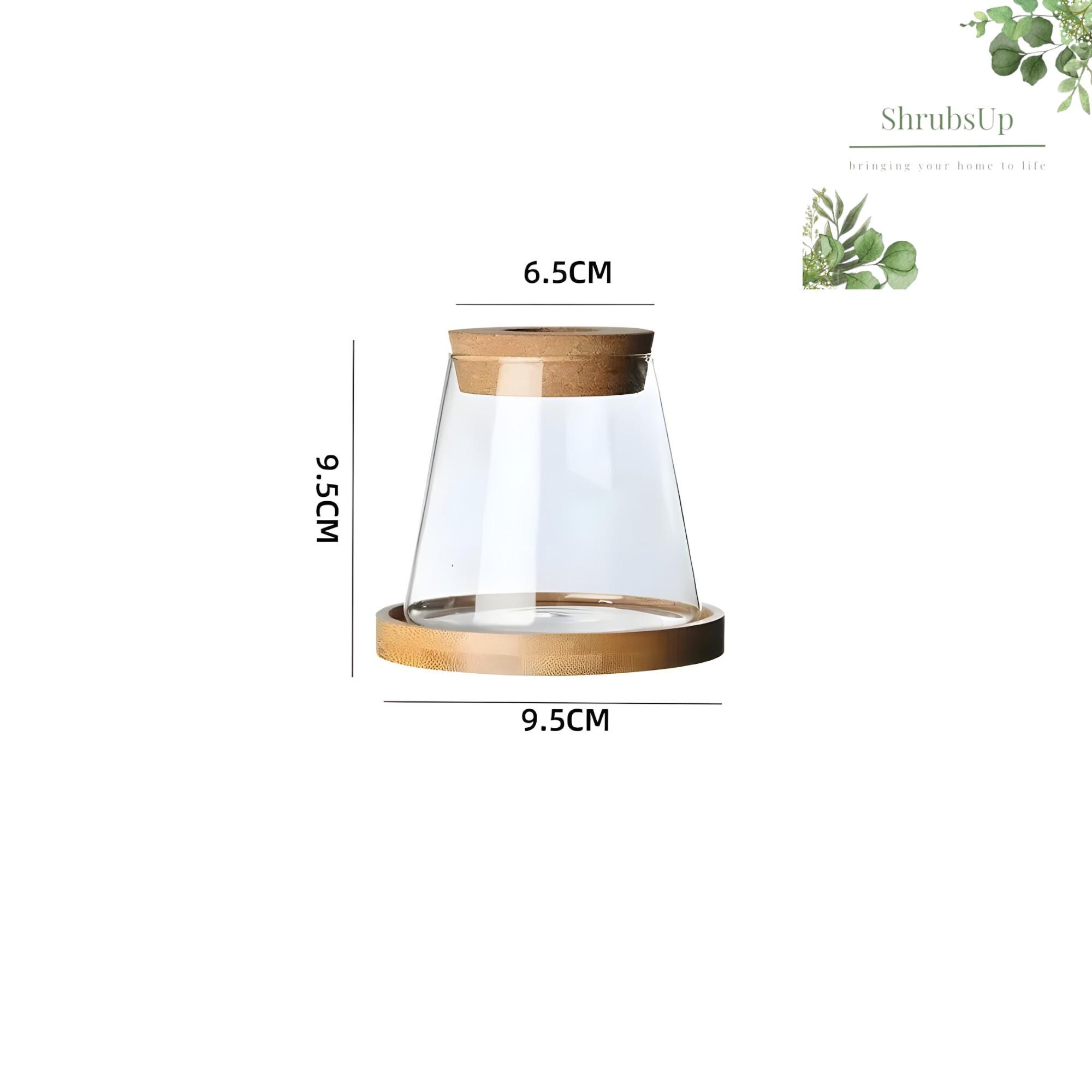 Hydroponic Plants Glass Flower Pots Home Decoration Transparent Small ...