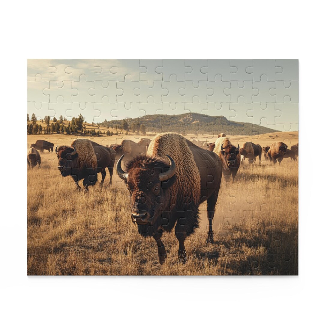 Puzzle, American Bison (buffalo) Herd, Wildlife Jigsaw, 120 252 500 ...
