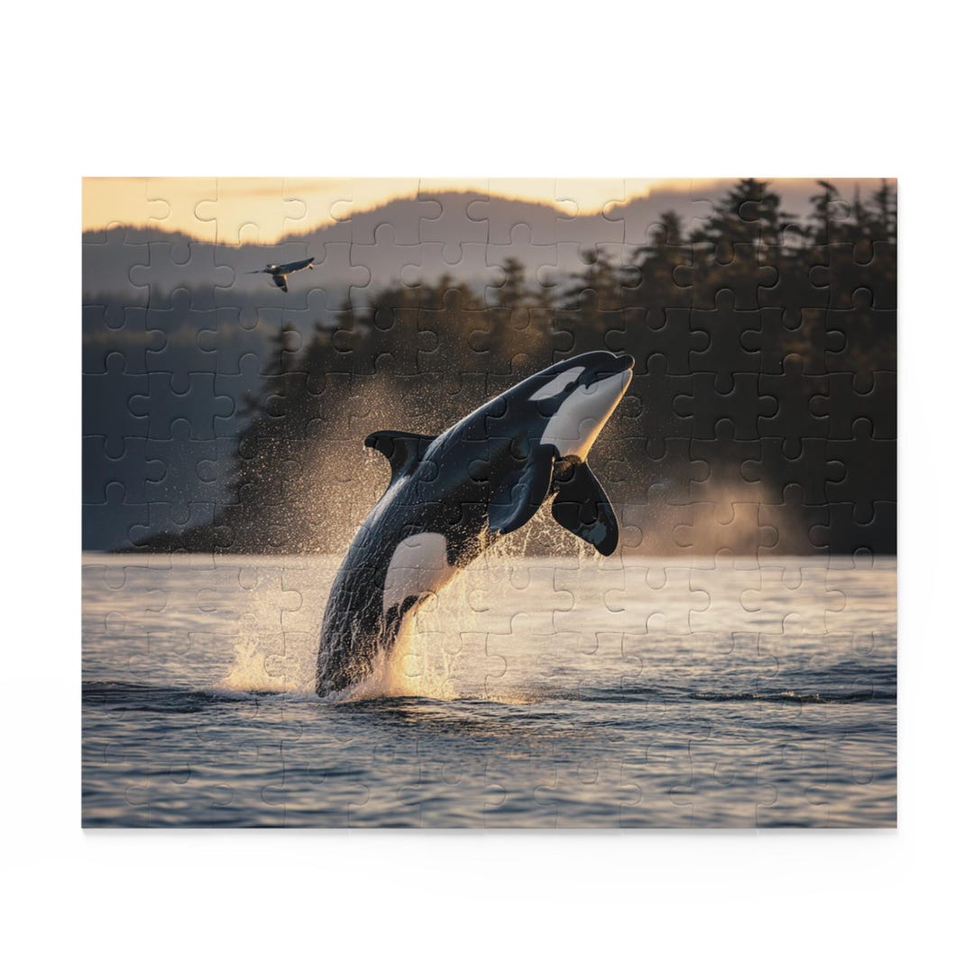 Puzzle, Washington Orca Shachi Jigsaw Game - 120, 252, 500 Pieces ...