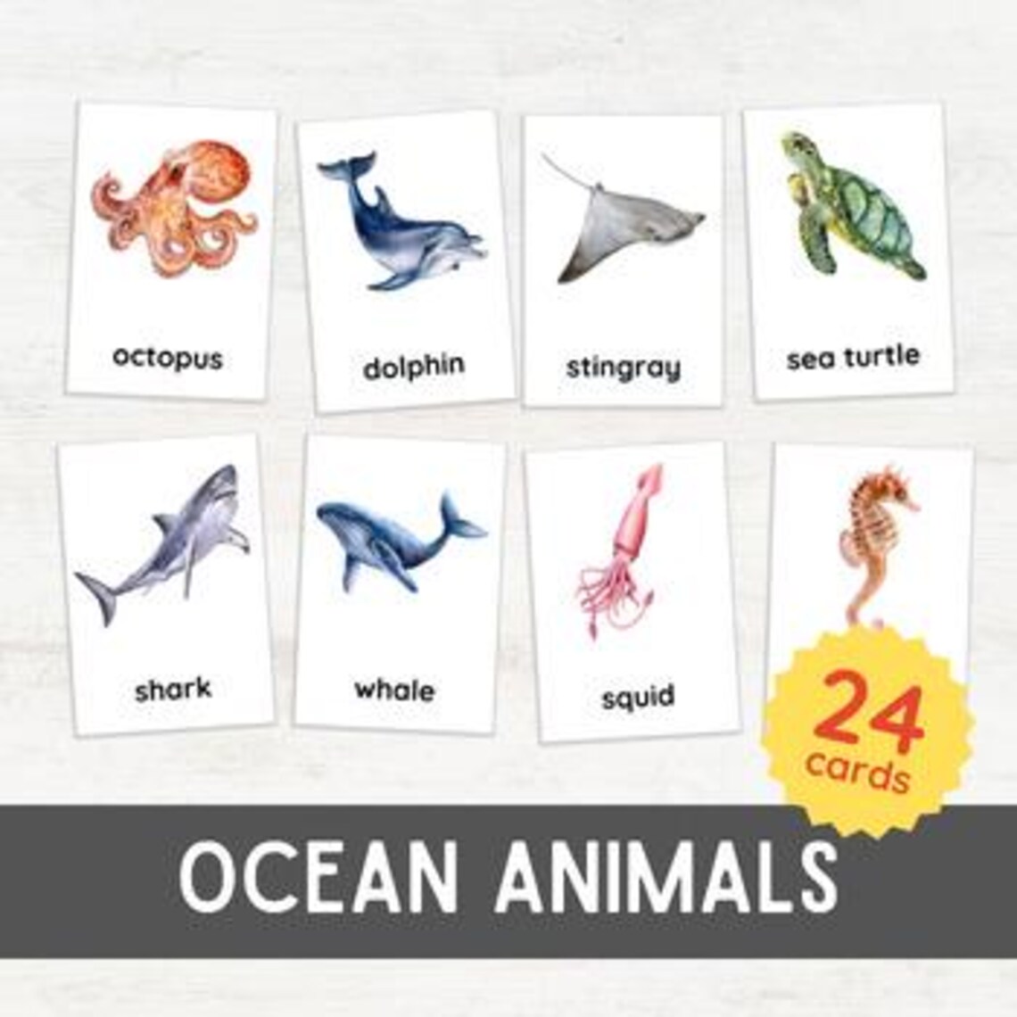 24 OCEAN ANIMALS Flash Cards | Watercolor Sea Life Nomenclature 3 Part ...