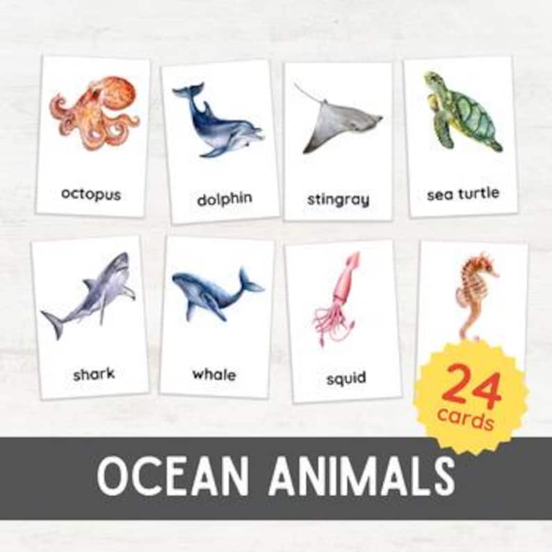 24 OCEAN ANIMALS Flash Cards | Watercolor Sea Life Nomenclature 3 Part ...