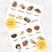 16 NUTS Flash Cards | Seeds English Vocabulary Nomenclature Three Part ...