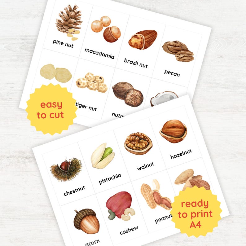 16 NUTS Flash Cards | Seeds English Vocabulary Nomenclature Three Part ...