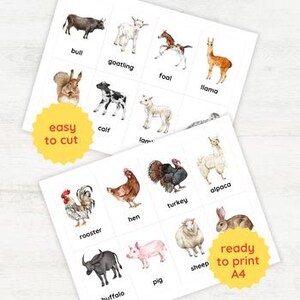 40 FARM ANIMALS Flash Cards | Livestock Rural Life Homeschool 3 Part ...