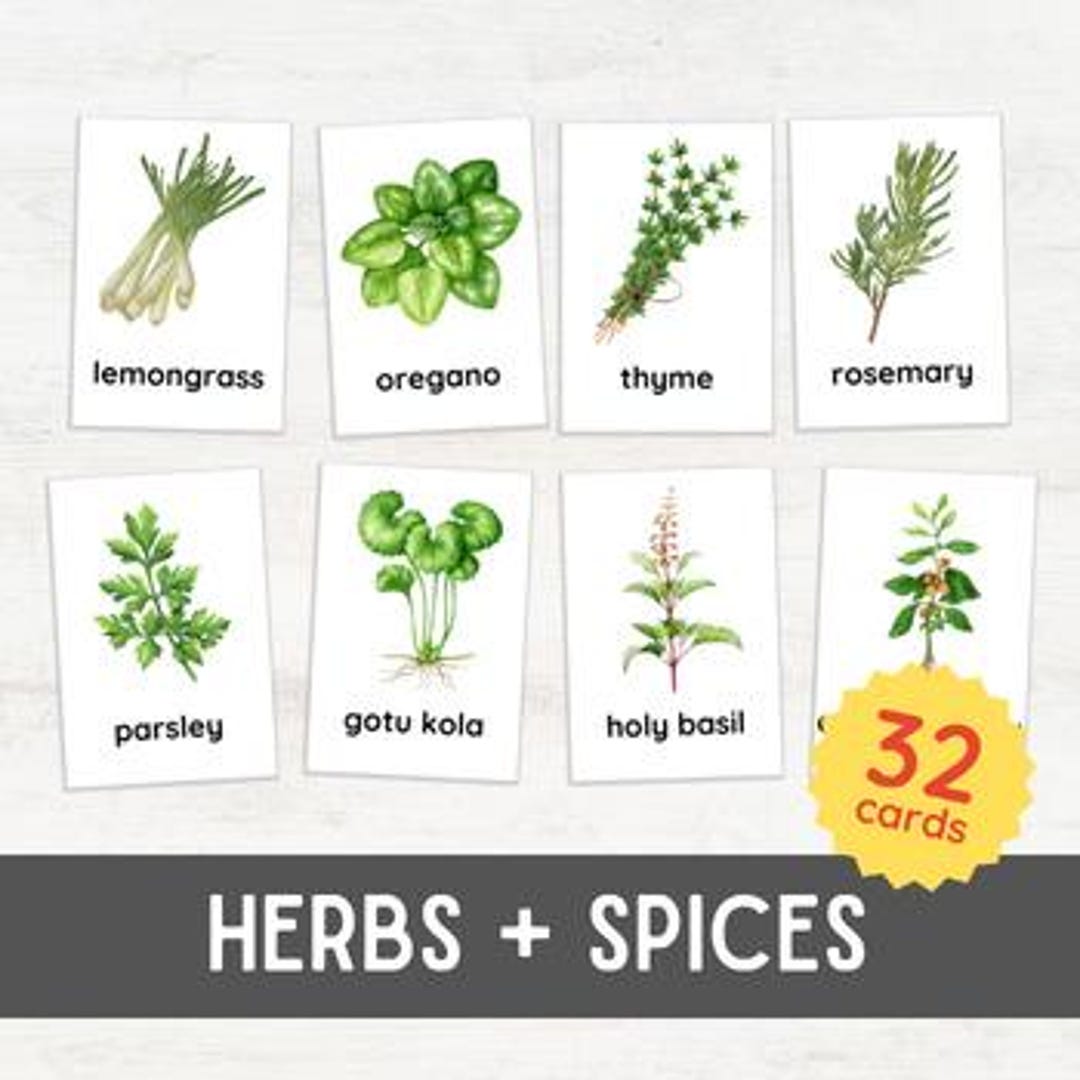 32 HERBS Flash Cards | Naturopathy for Preschool Plants Herbal Spices ...