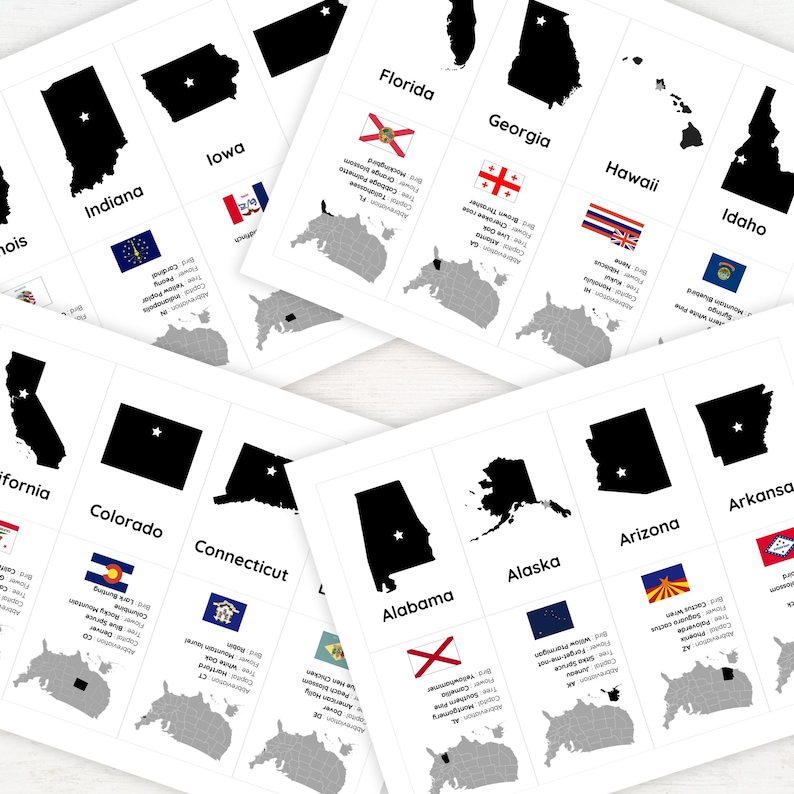 50 US STATES Flash Cards | Capitals Maps Flags Abbreviations Trees ...