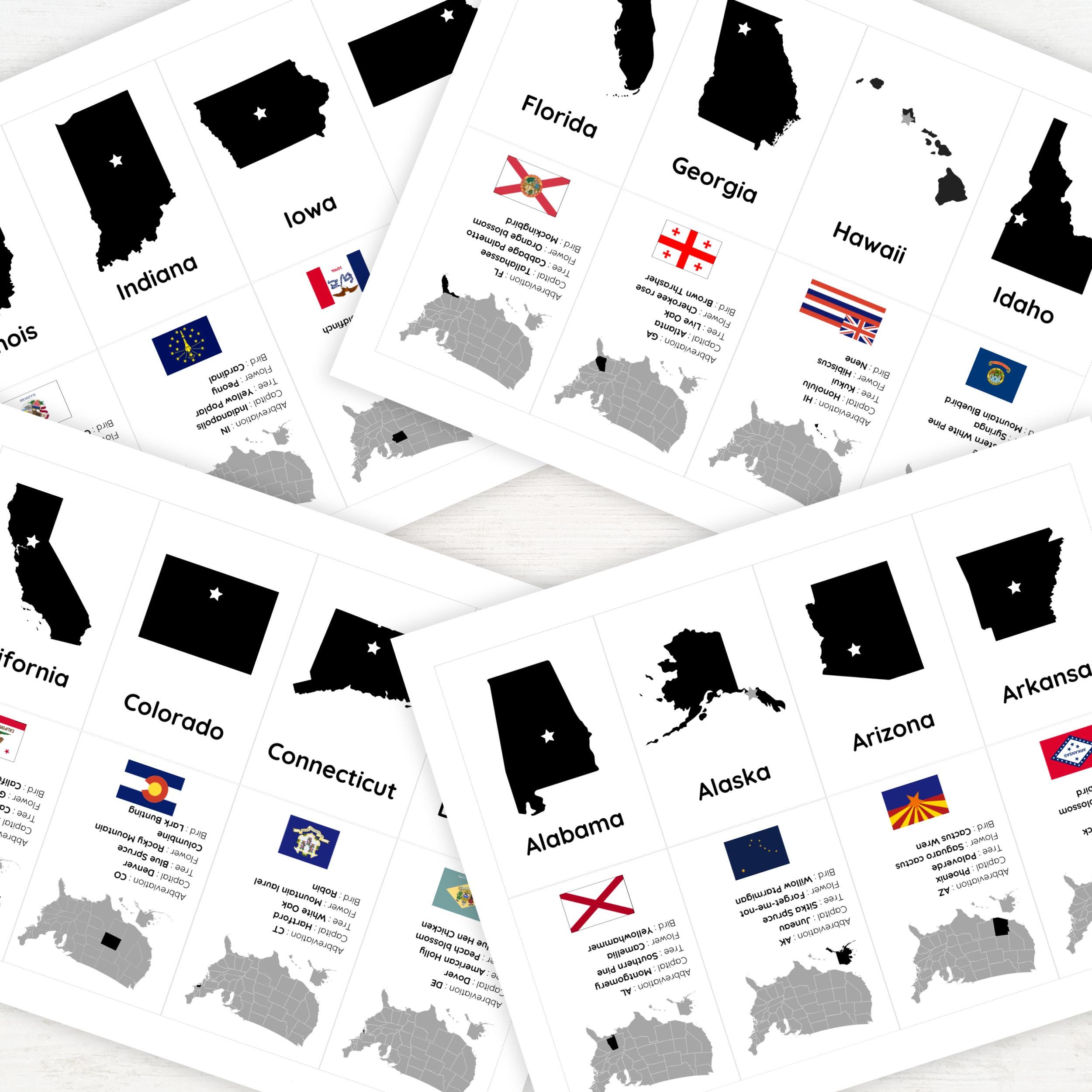 50 US STATES Flash Cards | Capitals Maps Flags Abbreviations Trees ...