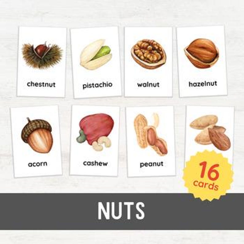 16 NUTS Flash Cards | Seeds English Vocabulary Nomenclature Three Part ...