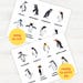 16 PENGUINS Flash Cards | Watercolor Picture Nomenclature 3 Part Cards ...