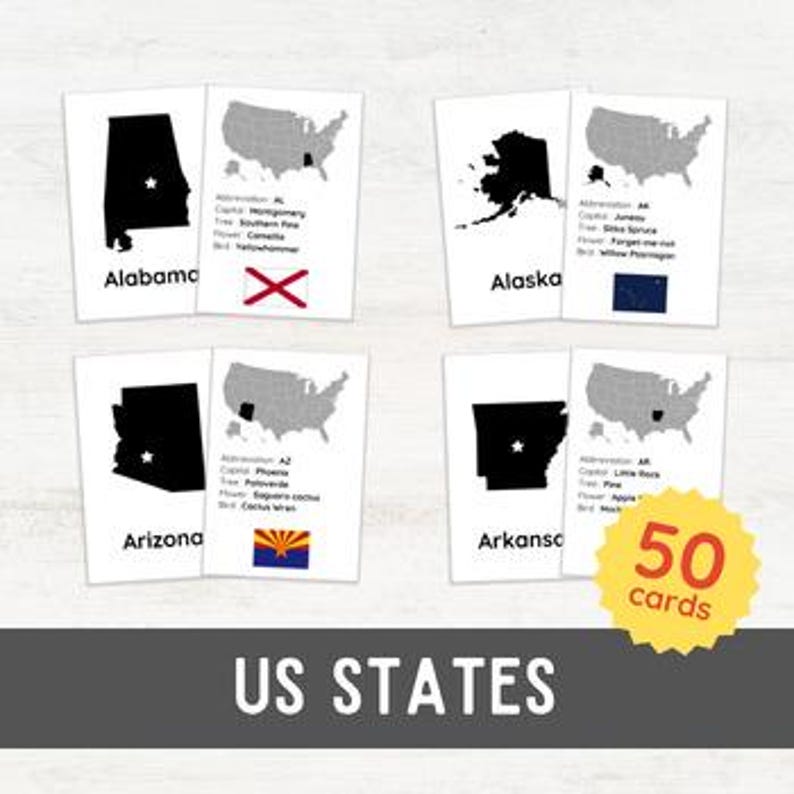 50 US STATES Flash Cards | Capitals Maps Flags Abbreviations Trees ...