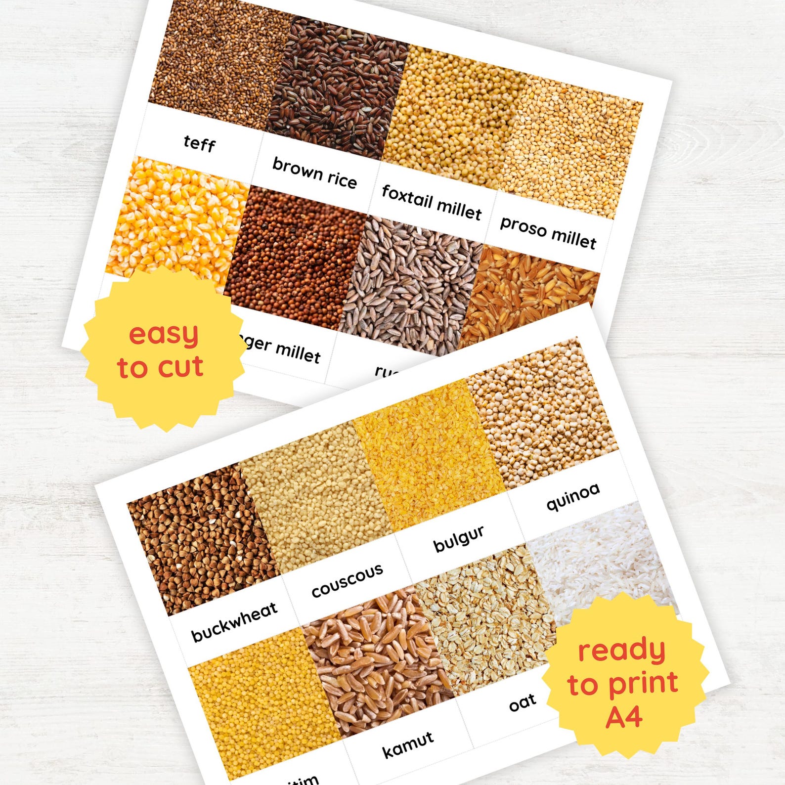 24 GRAINS Flash Cards | Food Vocabulary Homeschool Materials Montessori ...