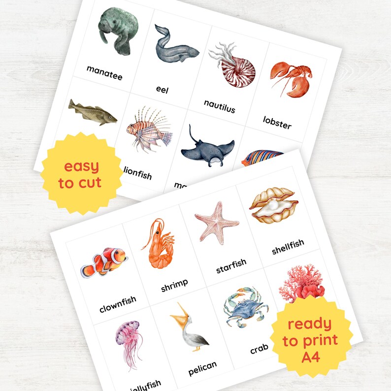 24 OCEAN ANIMALS Flash Cards | Watercolor Sea Life Nomenclature 3 Part ...