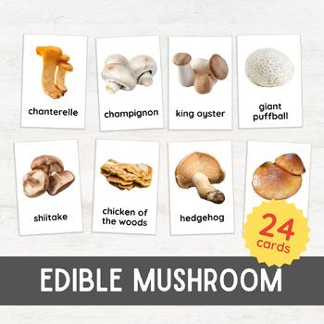 24 EDIBLE MUSHROOMS Flash Cards | Forest Plants Fungi Nomenclature 3 ...