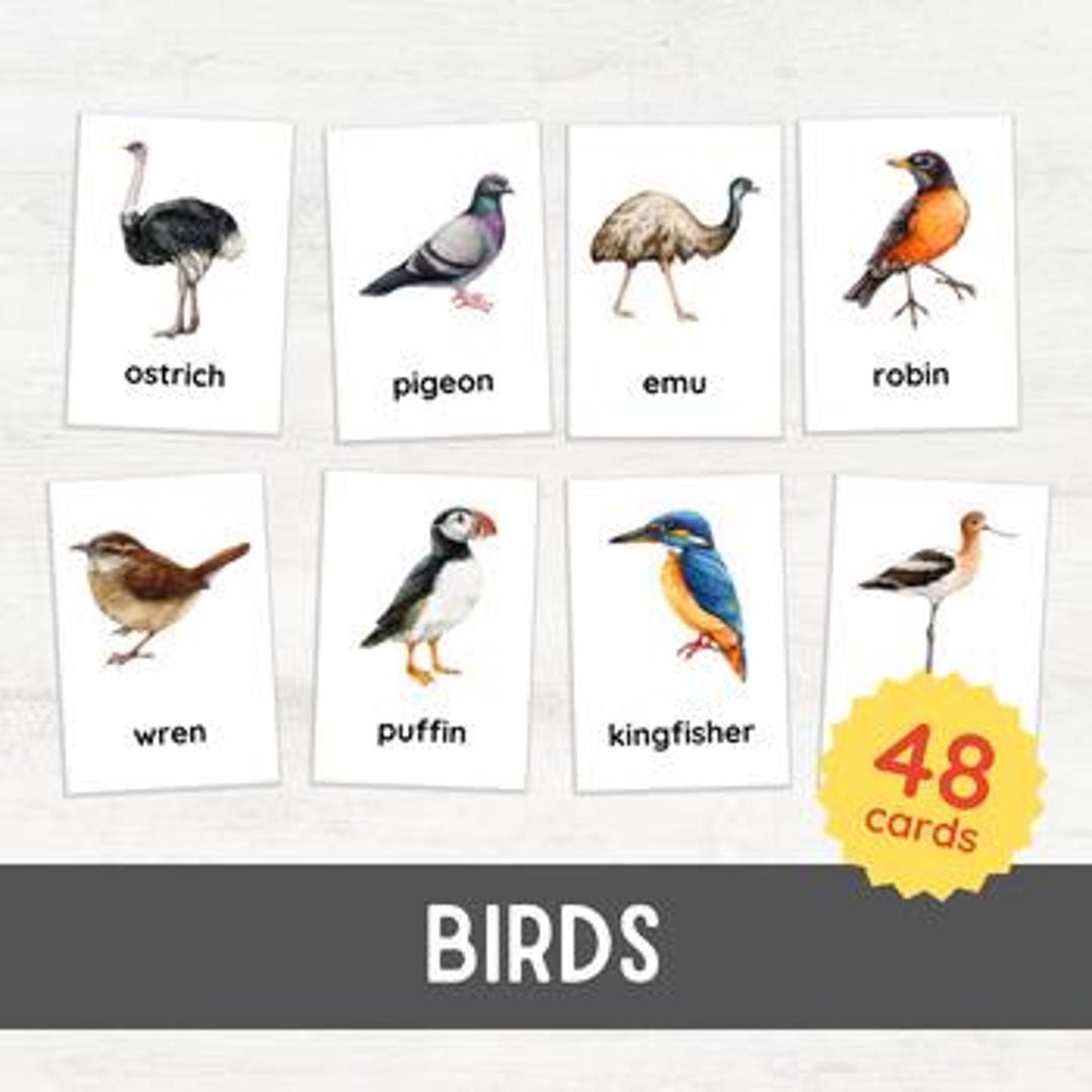 48 BIRDS Flash Cards | Aves Ornithology for Elementary Montessori ...
