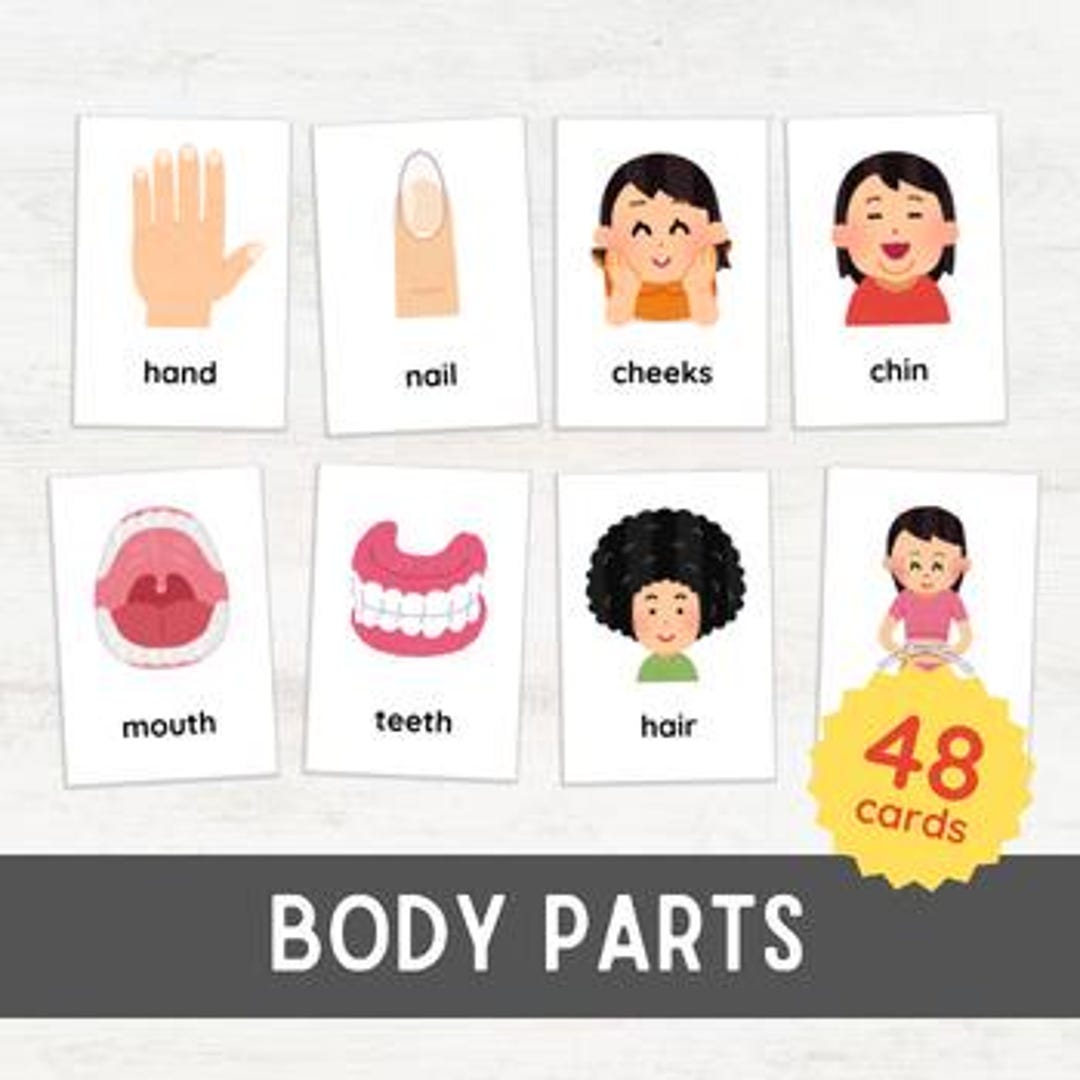 48 BODY PARTS Flash Cards | Anatomy for Kinder Prek 3 Part Nomenclature ...