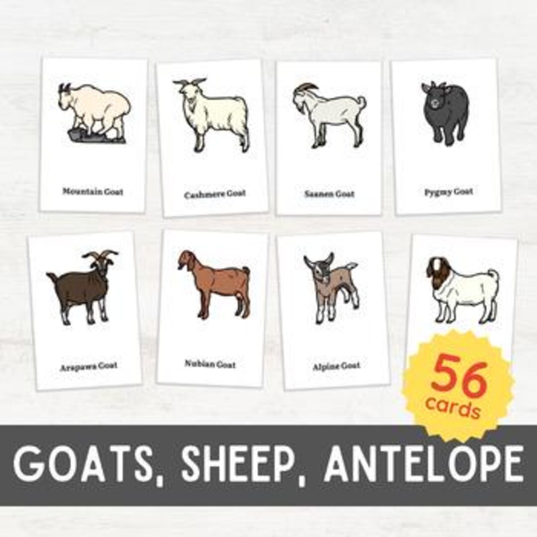 56 GOATS Flash Cards | Farm Animals for Toddlers Mammals Vocabulary 3 ...