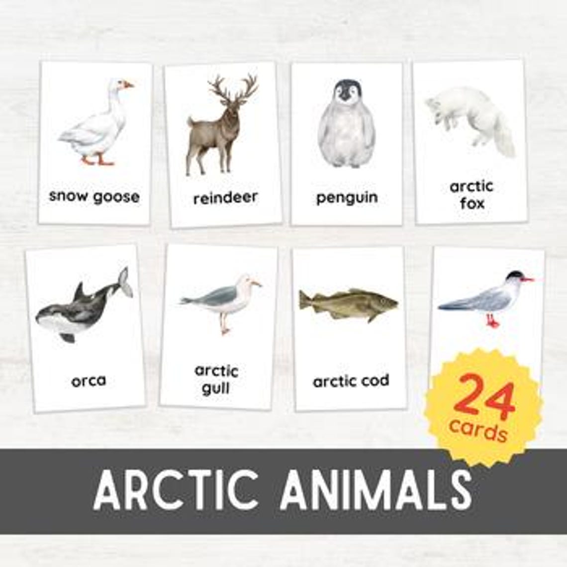 24 ARCTIC ANIMALS Flash Cards | Polar Winter Activities 3 Part for ...
