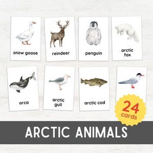 24 ARCTIC ANIMALS Flash Cards | Polar Winter Activities 3 Part for ...