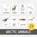 24 ARCTIC ANIMALS Flash Cards | Polar Winter Activities 3 Part for ...
