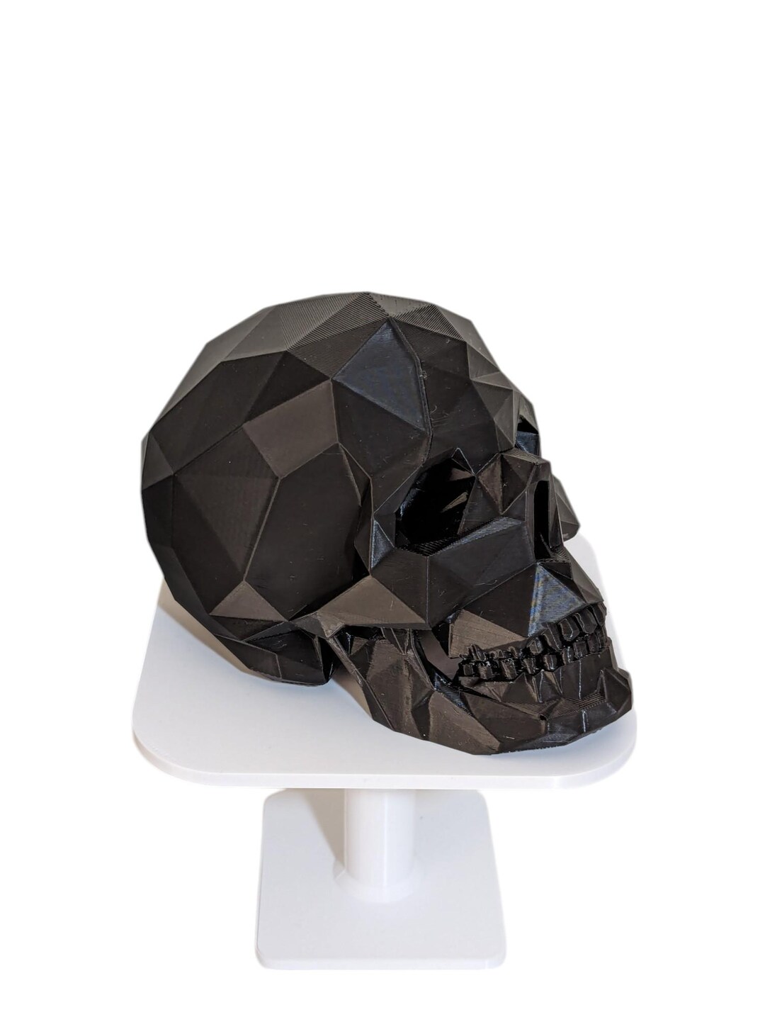 Low Poly Skull Skeleton Head Bone - Etsy
