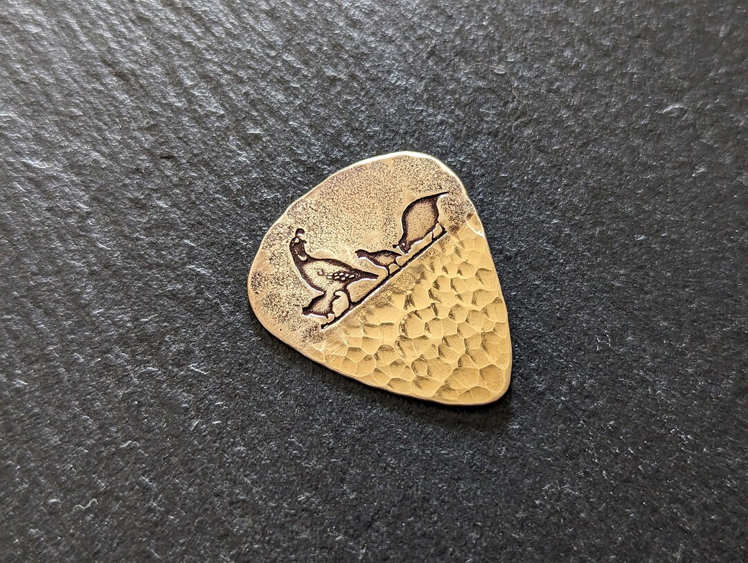 Bronze Guitar Pick With Desert Quail and a Sparkly Hammered Texture ...